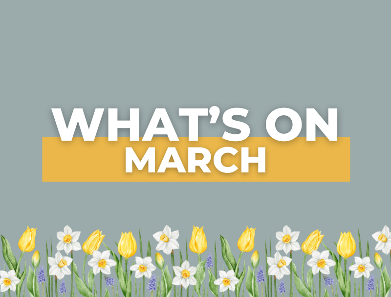 WHAT'S ON IN NORFOLK, MARCH 2024 | Hammond & Stratford